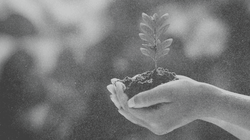 Sustainable Events: Eco-Friendly & Inclusive Event Planning